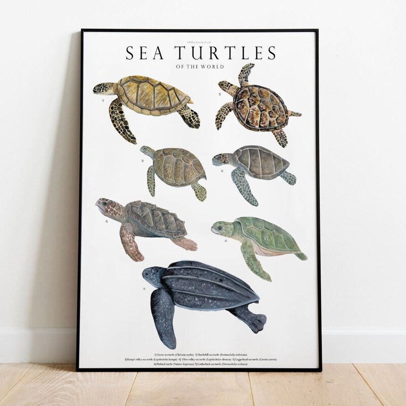 Sea Turtle Poster - Etsy