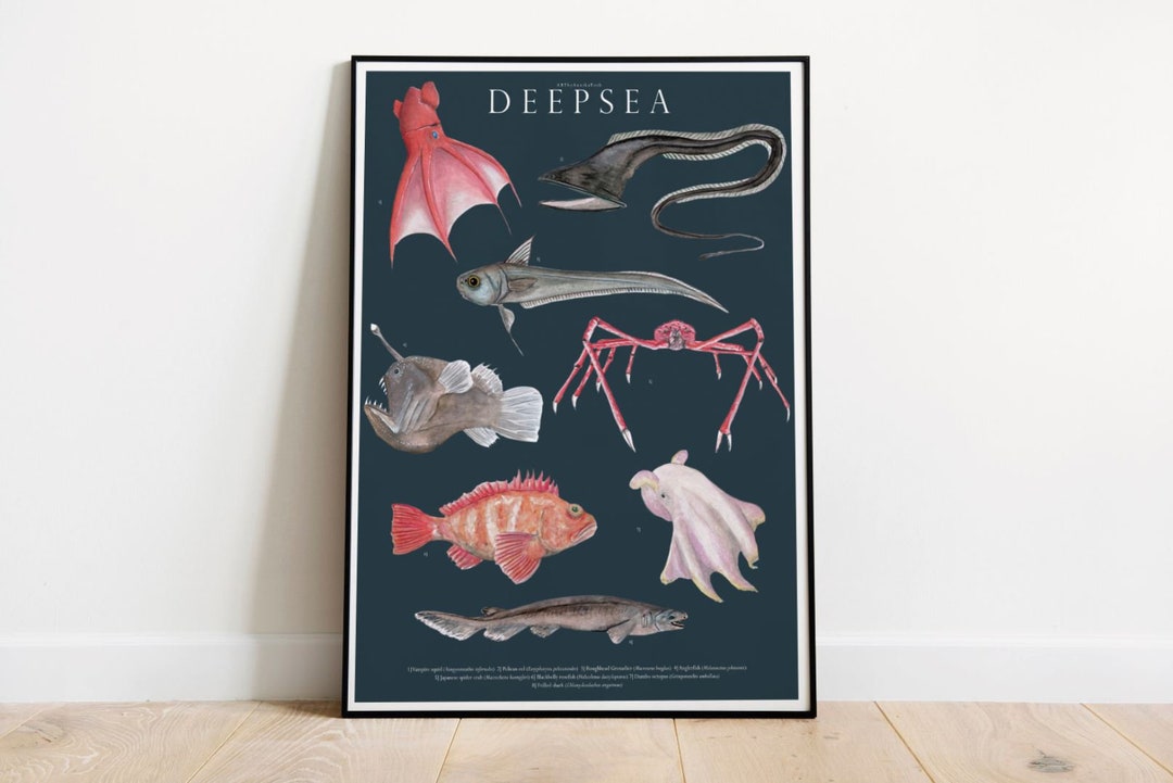 Deep Sea Creatures Giclée Print Poster Watercolor - Etsy
