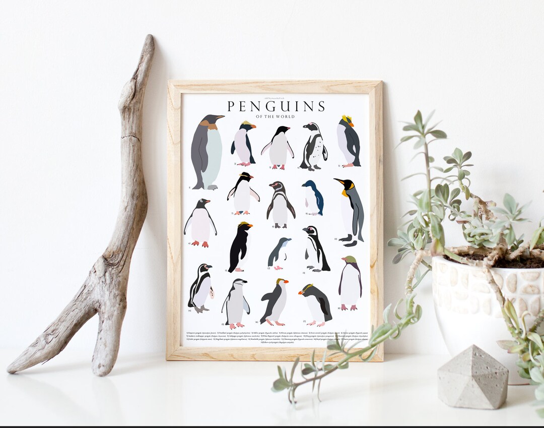 Penguins of the World Poster, Educational Nursery Art (digital Download ...