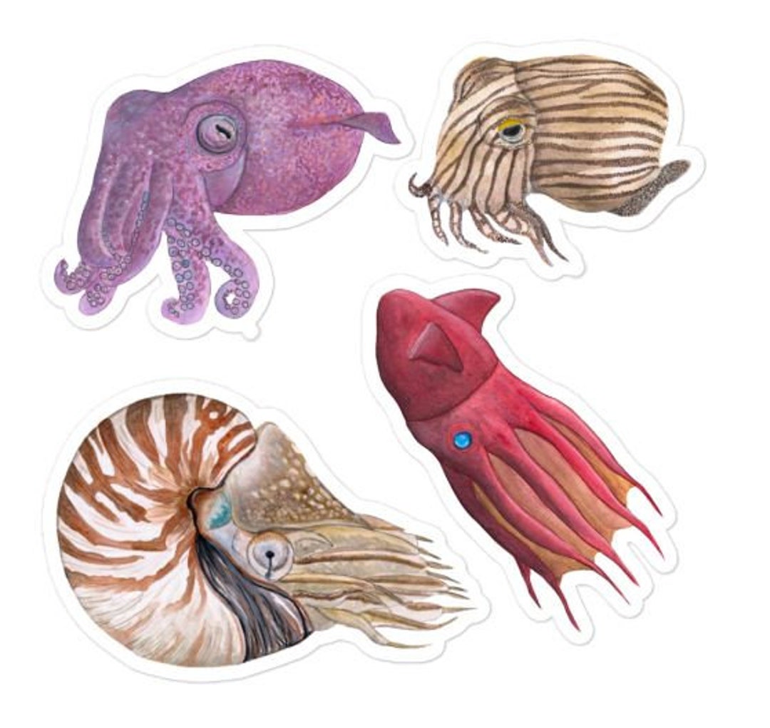 Squid Stickers Set of 4 Kiss-cut Stickers Journal Stickers - Etsy