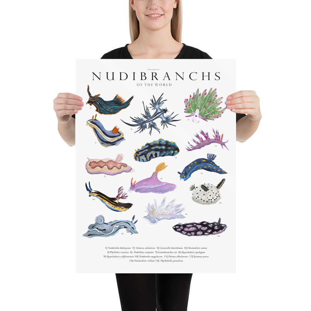 Nudibranchs of the World Giclée Print, Sea Slug Watercolor Illustration ...