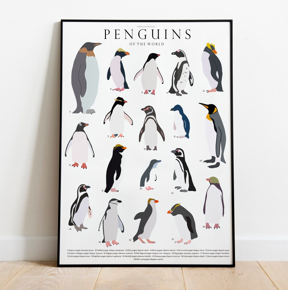 Penguins of the World Poster, Educational Nursery Art (digital Download ...
