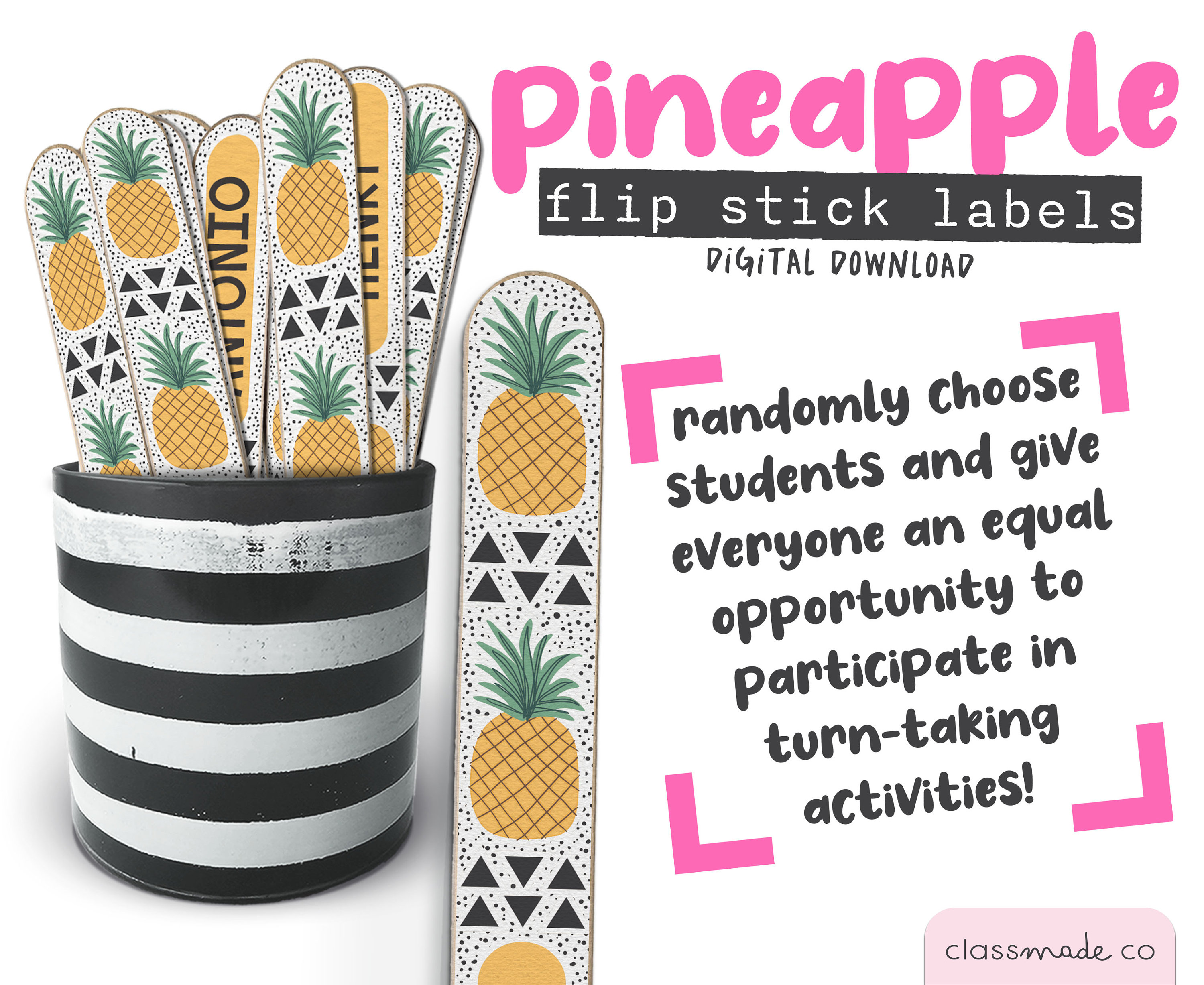 Printable Pineapple Themed Flip Sticks Labels, Classroom Management ...