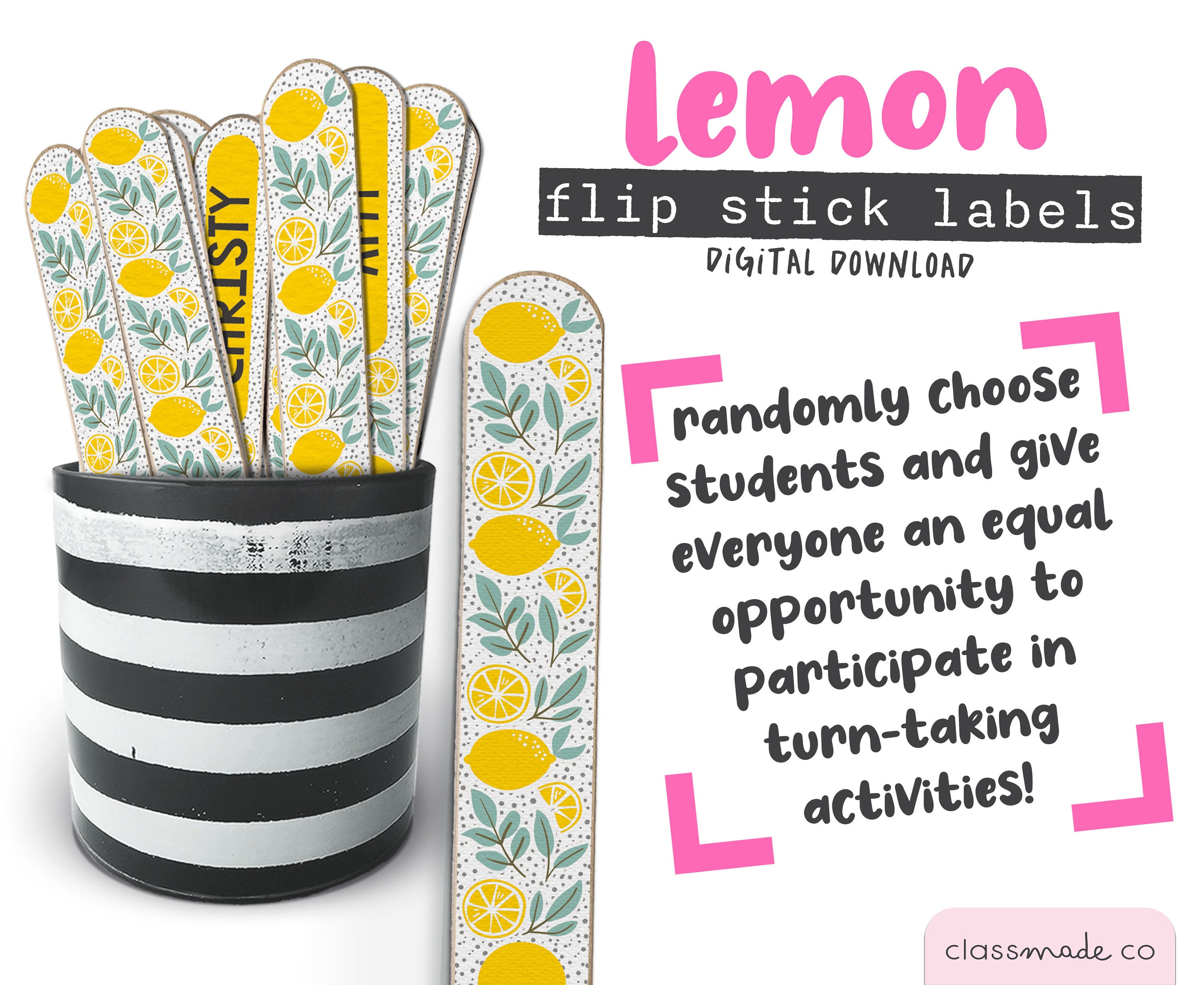 Lemon Theme Flip Stick Labels // Name Sticks // Equity Sticks // Fair ...