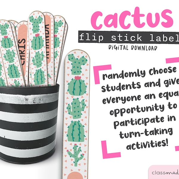 Classroom Cactus - Etsy