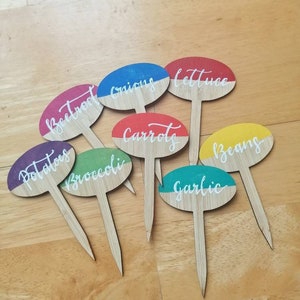 Colourful Plant Labels Cute Wooden Plant Names Pretty - Etsy