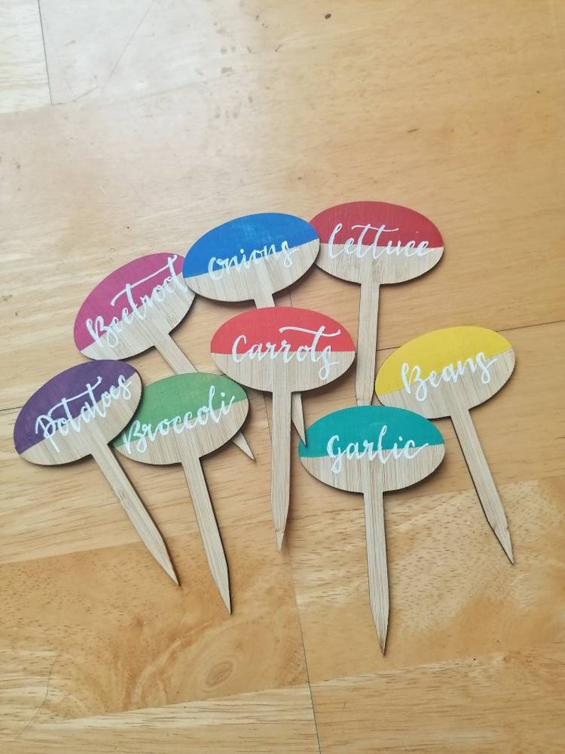 Colourful Plant Labels Cute Wooden Plant Names Pretty - Etsy