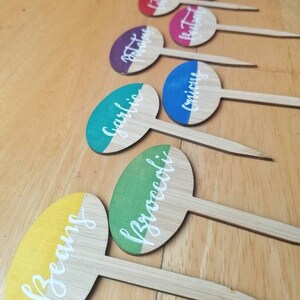 Colourful Plant Labels Cute Wooden Plant Names Pretty - Etsy