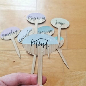 Colourful Plant Labels Cute Wooden Plant Names Pretty - Etsy