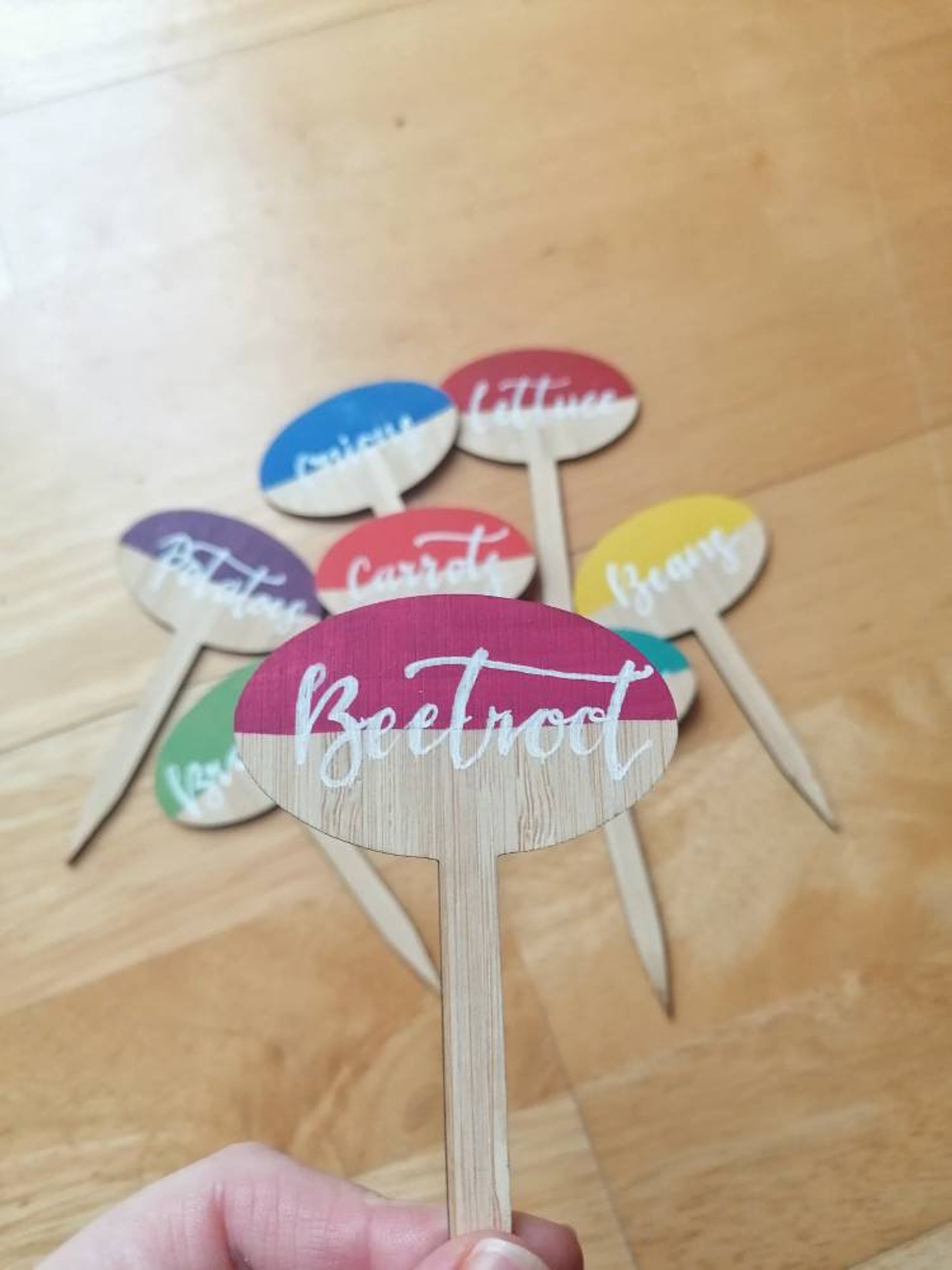 Colourful Plant Labels Cute Wooden Plant Names Pretty - Etsy