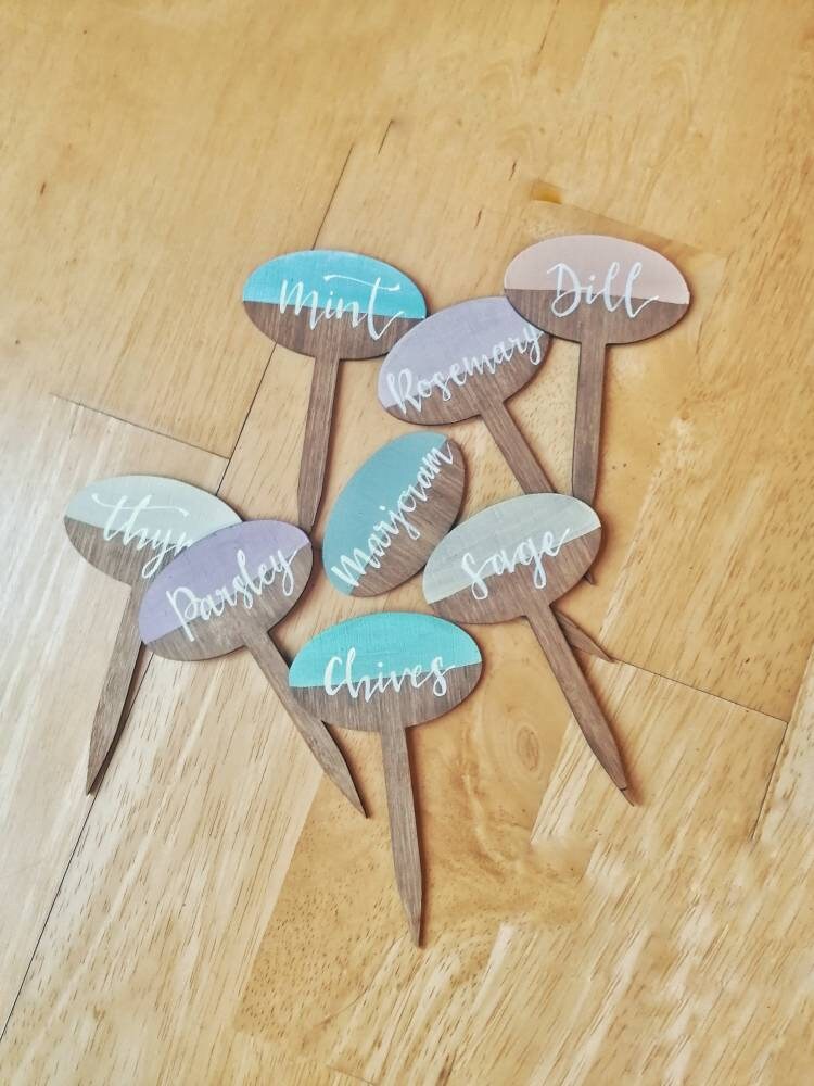 Colourful plant labels cute wooden plant names pretty | Etsy