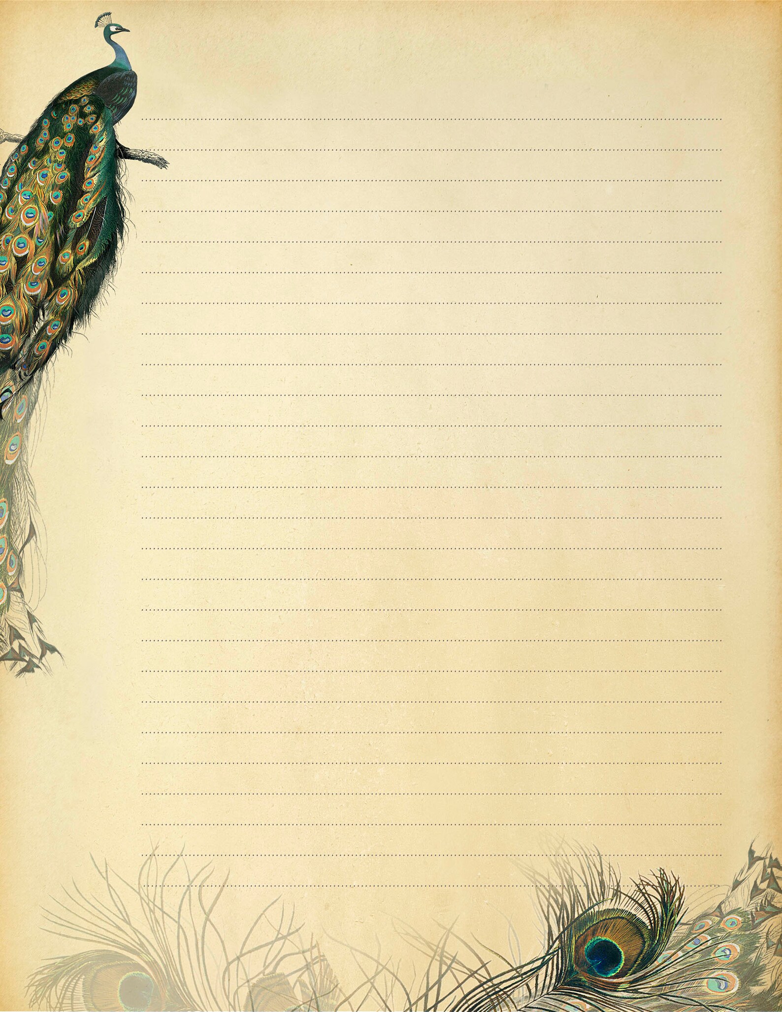 Feather stationery set Peacock paper lined letter writing | Etsy