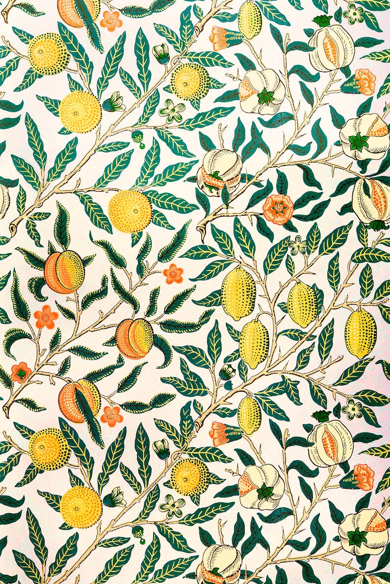 William Morris Art Prints Set of 3 Prints Botanical Print | Etsy