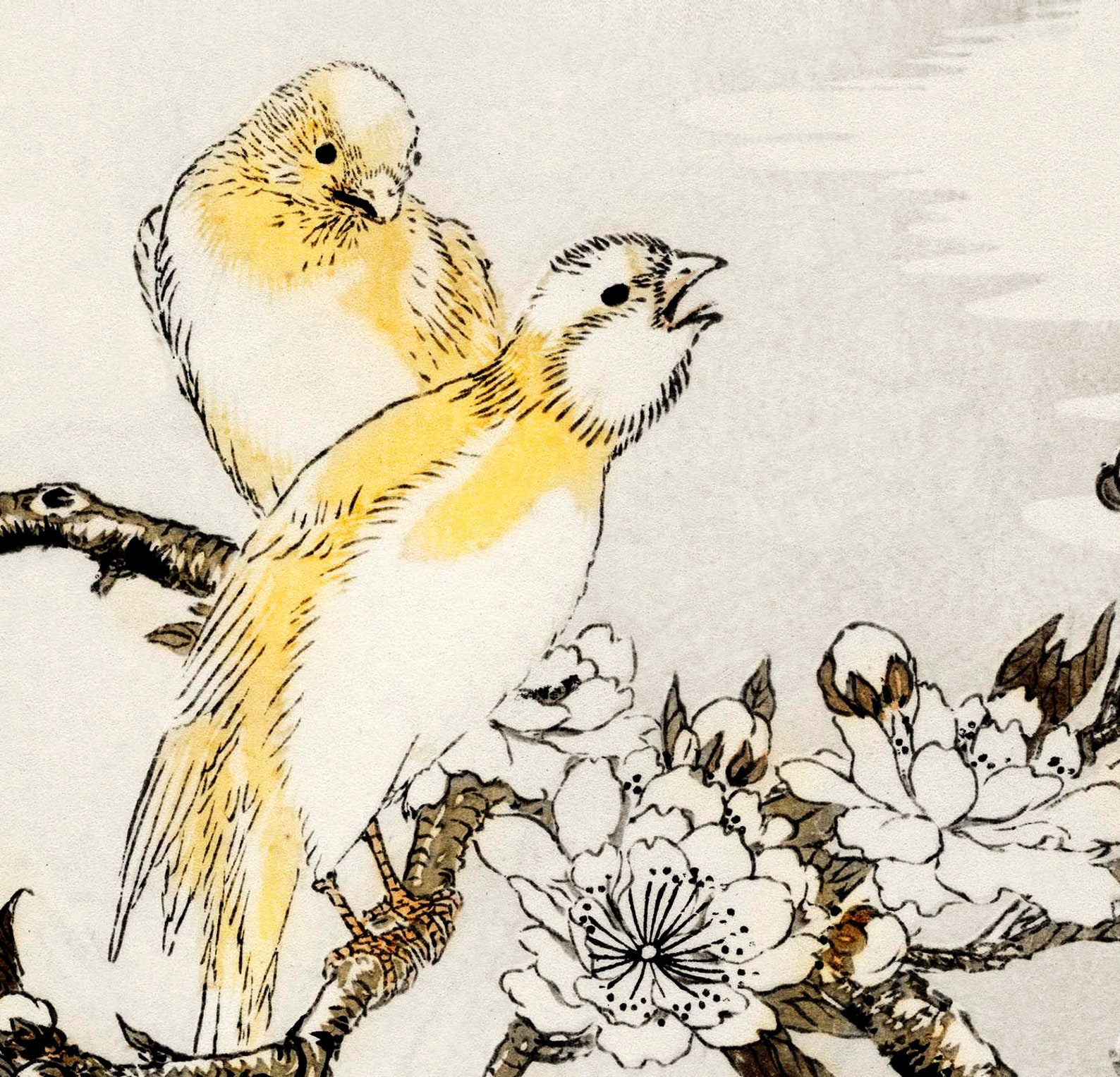 Canary Bird Art Print Japanese Bird Art Vintage Bird Print | Etsy