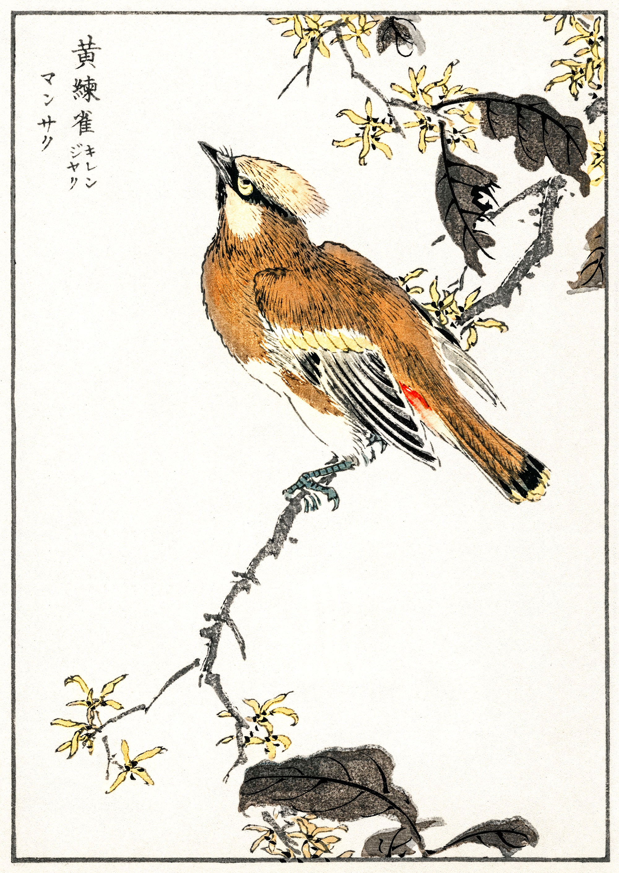 Set of 2 bird prints Asian wall art Japanese print | Etsy