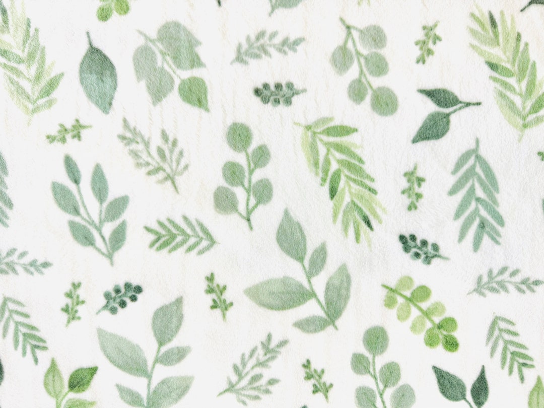 Soft Green Botanical Minky Fabric by the Yard 58/60” Wide Brushed Sage ...
