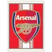 Arsenal Luxury Playing Cards - Etsy