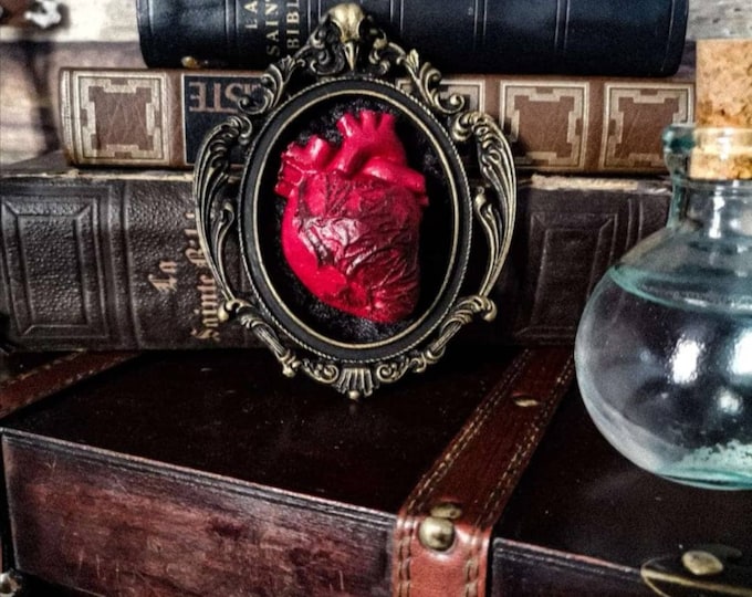 Anatomical Heart Occult Gothic Home Decor - Etsy