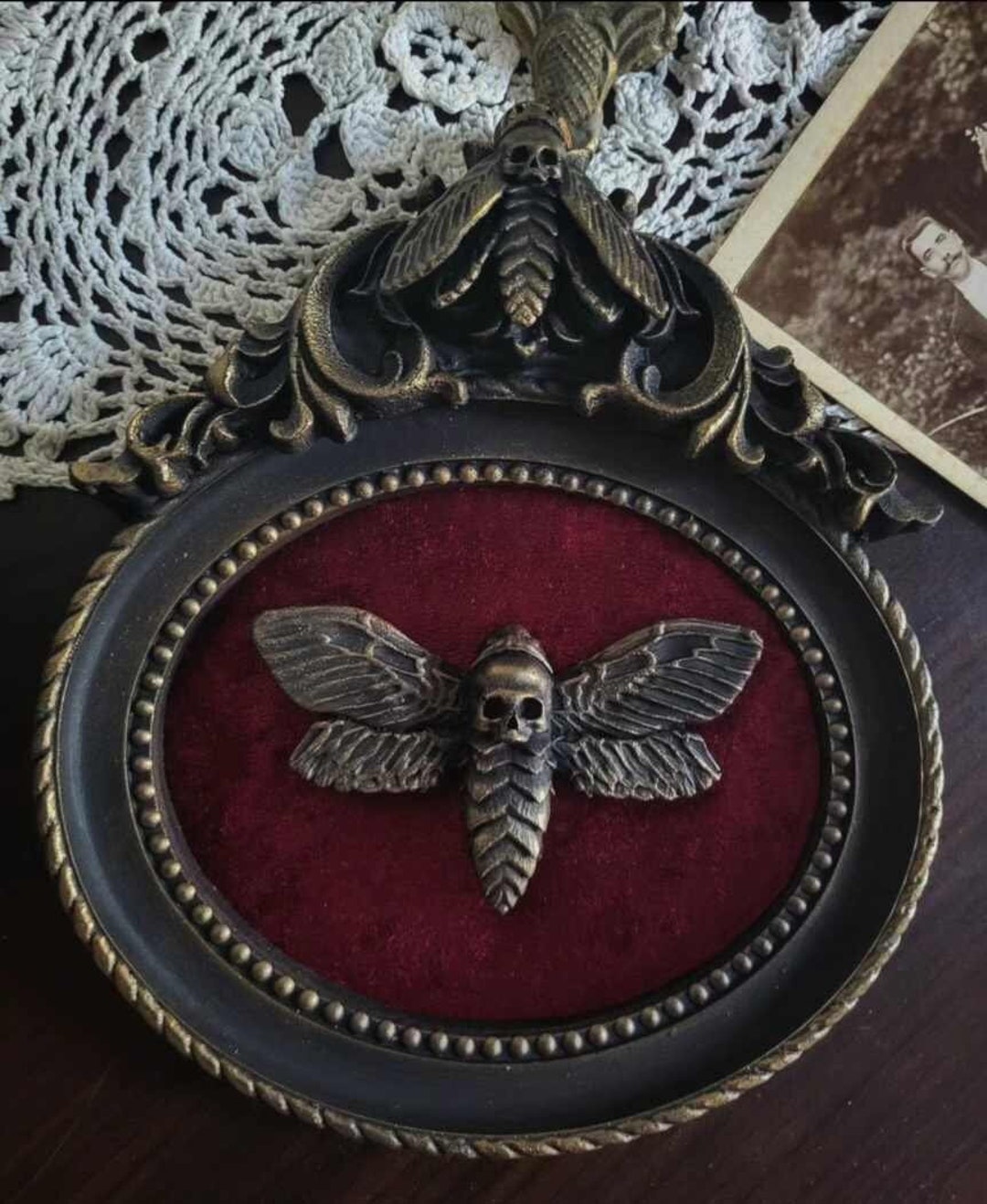 Frame Moth Gothic Home Decor Hawk Goth Death Moth - Etsy