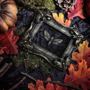 Frame Moth Gothic Home Decor Hawk Goth - Etsy