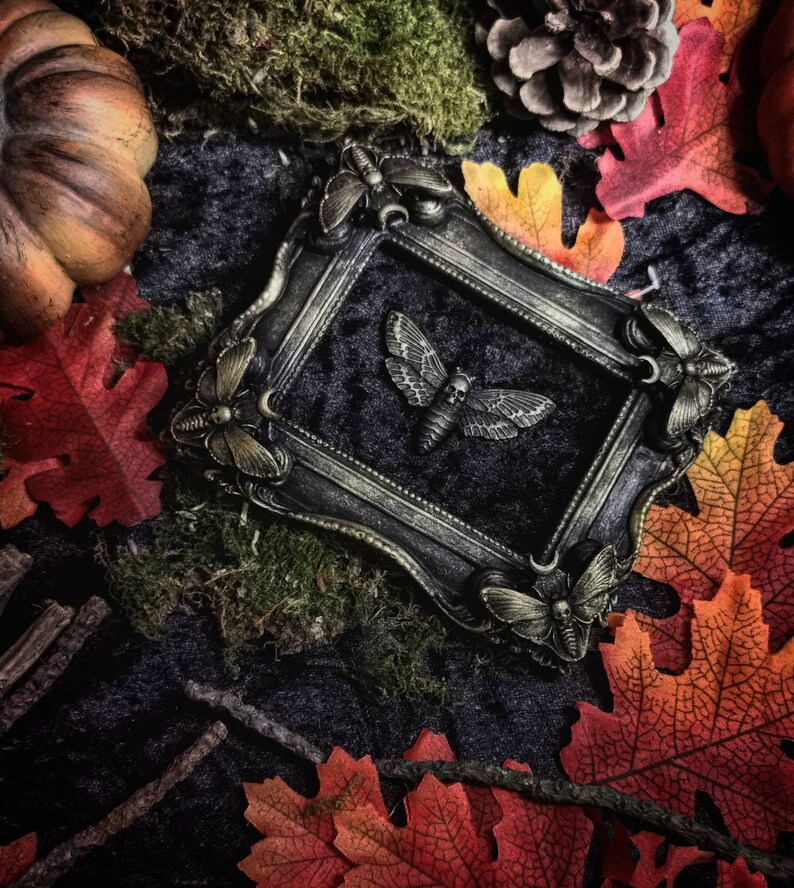 Frame Moth Gothic Home Decor Hawk Goth - Etsy