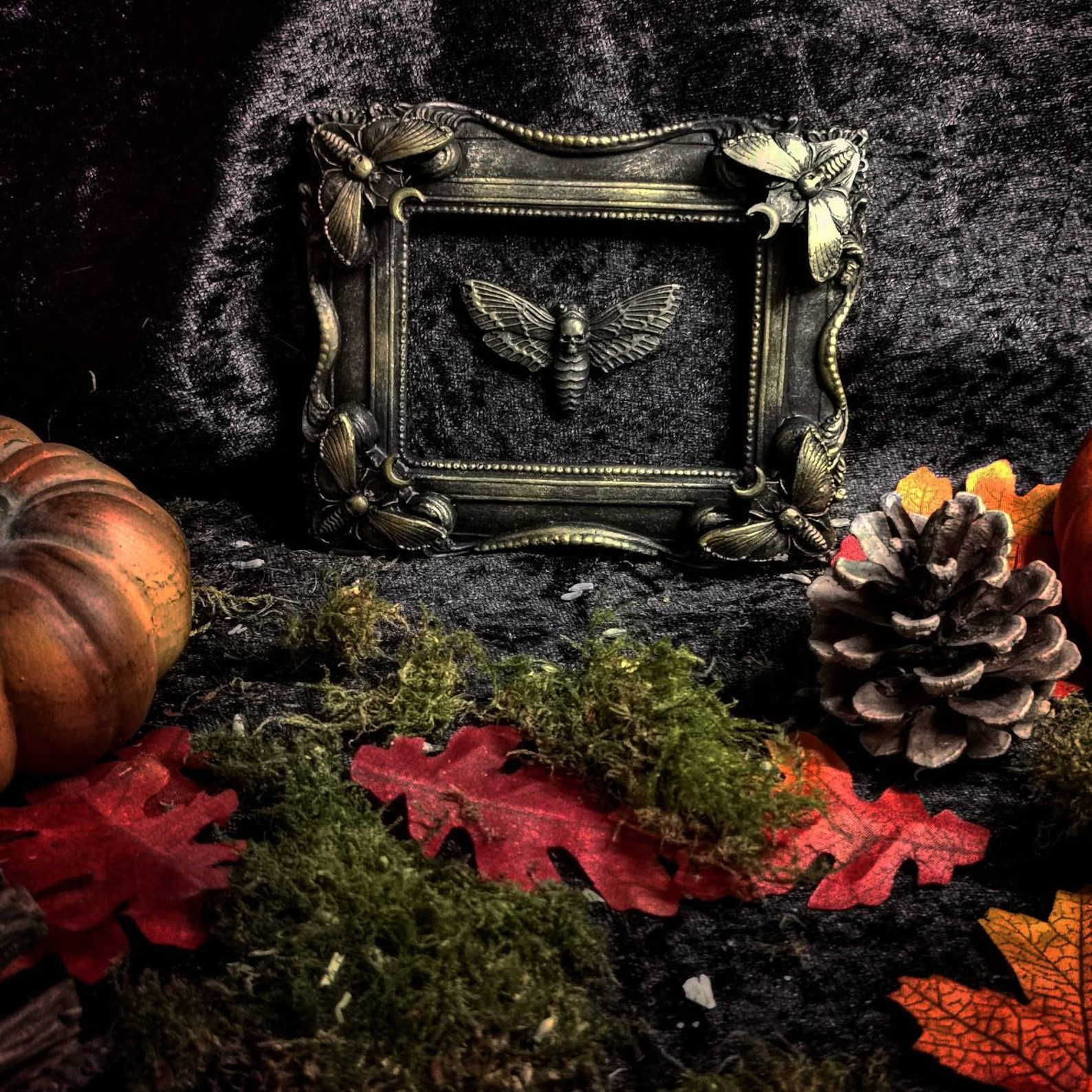 Frame Moth Gothic Home Decor Hawk Goth - Etsy