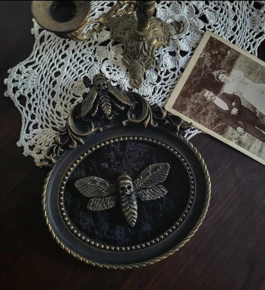 Frame Moth Gothic Home Decor Hawk Goth Death Moth - Etsy