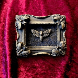 Frame Moth Gothic Home Decor Hawk Goth - Etsy