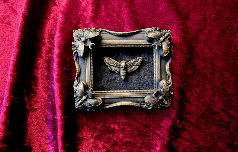 Frame Moth Gothic Home Decor Hawk Goth - Etsy
