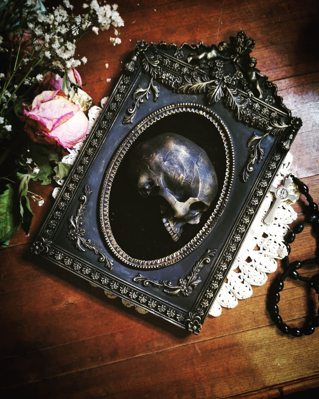 Human Skull Oddities and Curiosities Wall Decor - Etsy