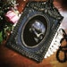 Human Skull Oddities and Curiosities Wall Decor - Etsy
