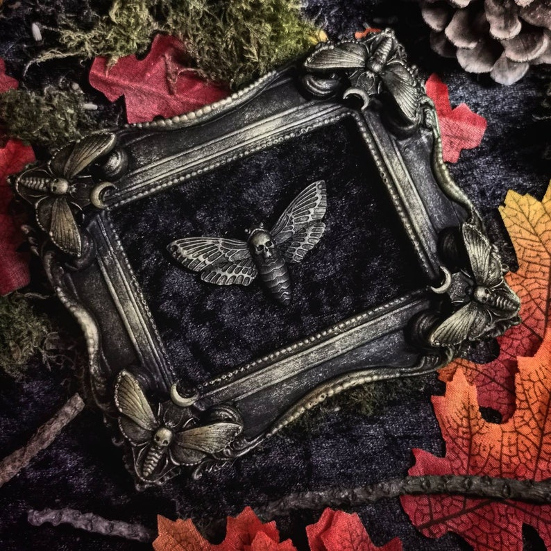 Frame Moth Gothic Home Decor Hawk Goth - Etsy