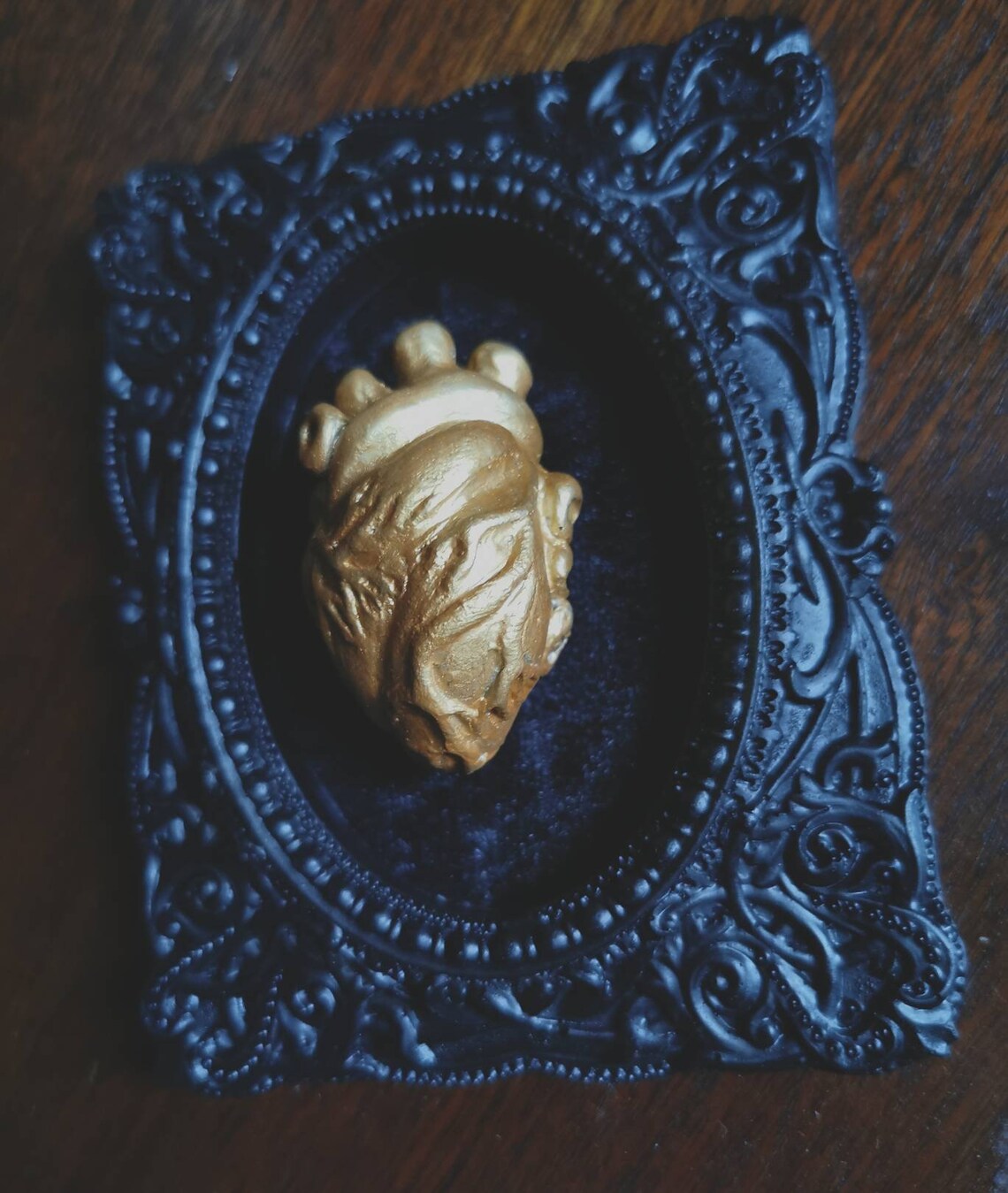 Anatomical Heart Oddities and Curiosities Wall Decor - Etsy