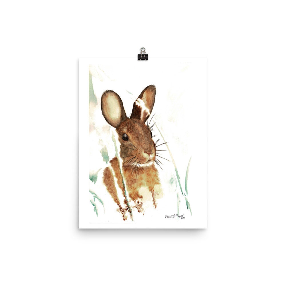 Wild Hare Poster Print - Etsy