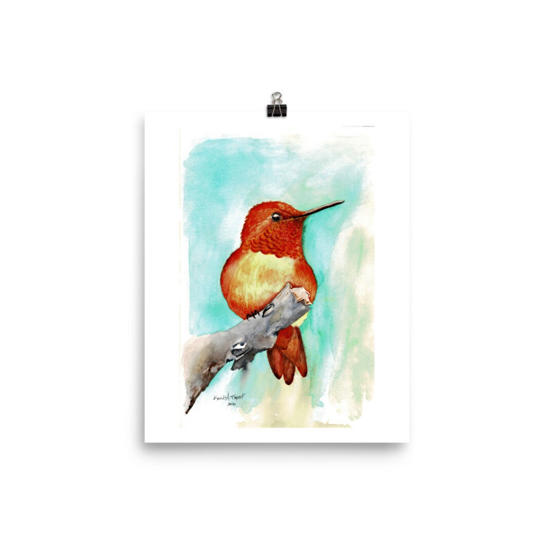 Hummingbird - Watercolor Poster Print - Etsy