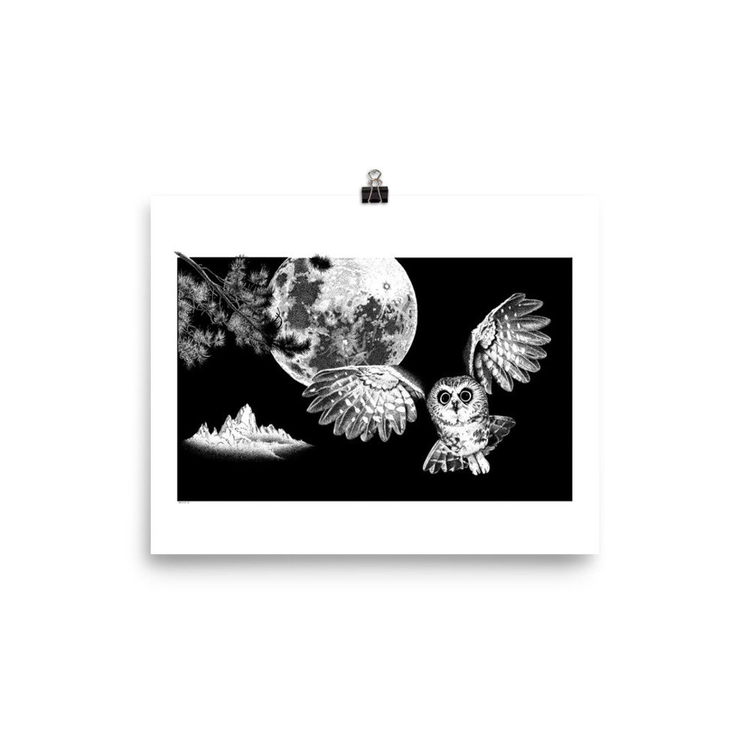 Night Owl Poster Print - Etsy