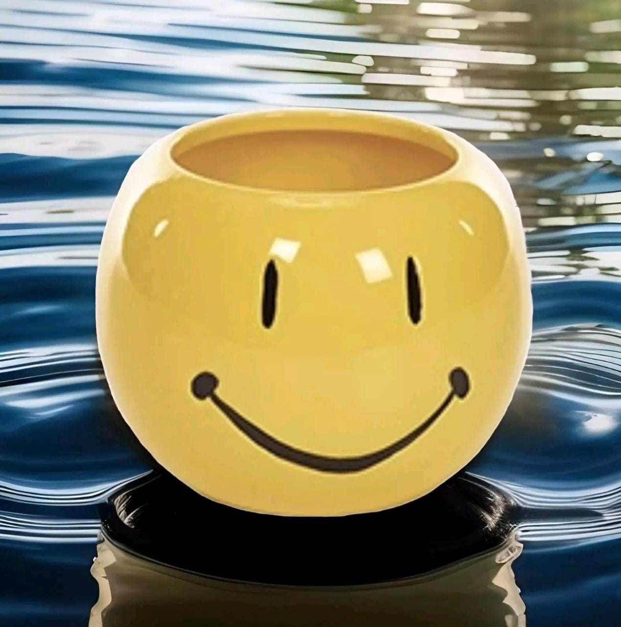 Smiley Face Ceramic Planter - Etsy