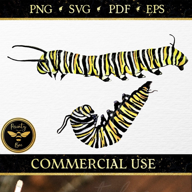 Monarch Caterpillar - Etsy