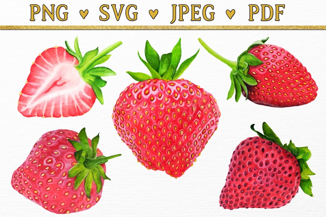 Strawberry SVG, Watercolor Garden Clipart, Spring Berry Fruit Elements ...