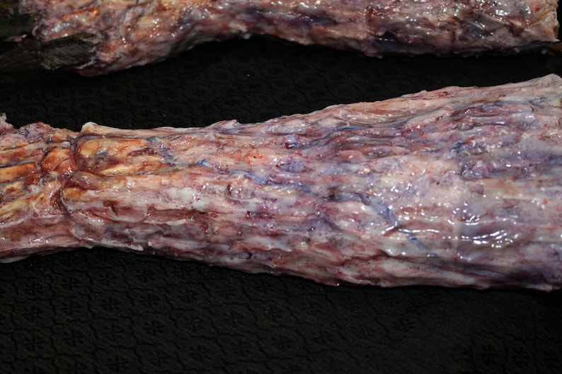 Silicone Monster Hands: Realistic Halloween Costume Prop - Etsy