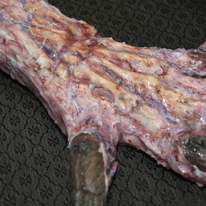 Silicone Monster Hands: Realistic Halloween Costume Prop - Etsy