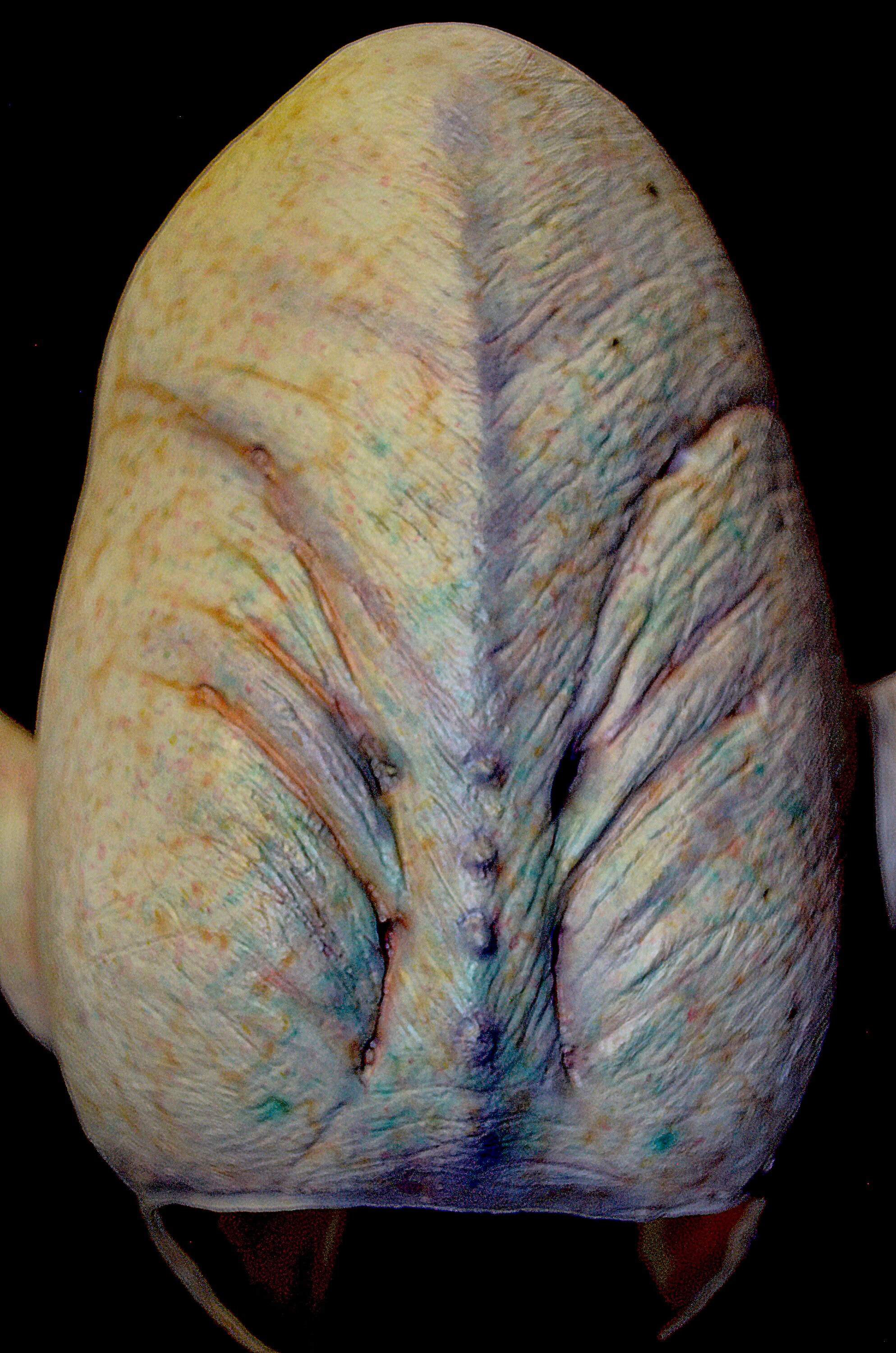 Orb Alien Gray Mask - Etsy