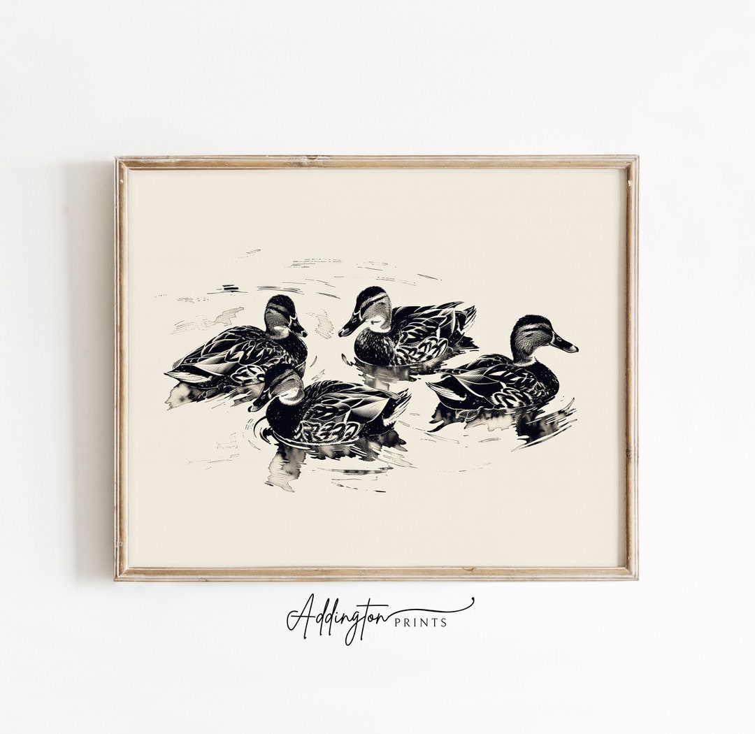 Vintage Ducks Sketch Art Print | Mallard Duck Vintage Print | Bird Wall ...