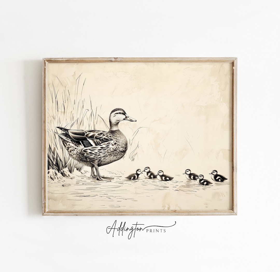 Vintage Baby Ducks Sketch Art Print | Mallard Duck Vintage Print | Bird ...