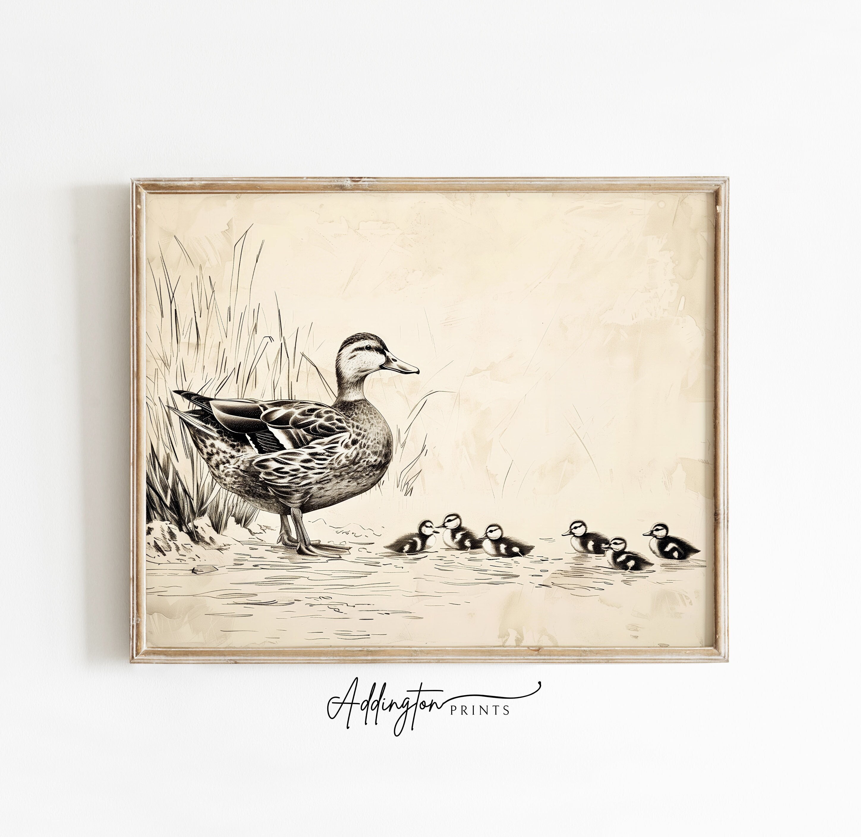 Vintage Baby Ducks Sketch Art Print | Mallard Duck Vintage Print | Bird ...
