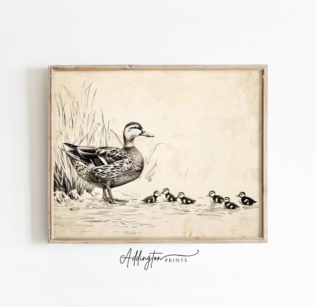 Vintage Baby Ducks Sketch Art Print Mallard Duck Vintage Print Bird ...