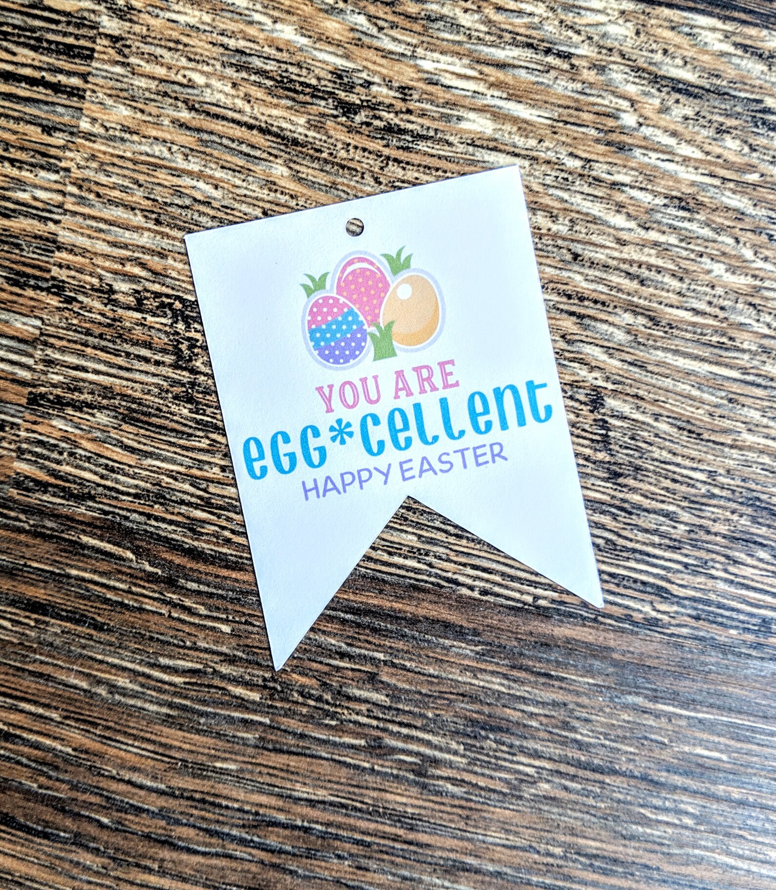 PRINTED You Are Egg-cellent Easter Gift Tags - Etsy