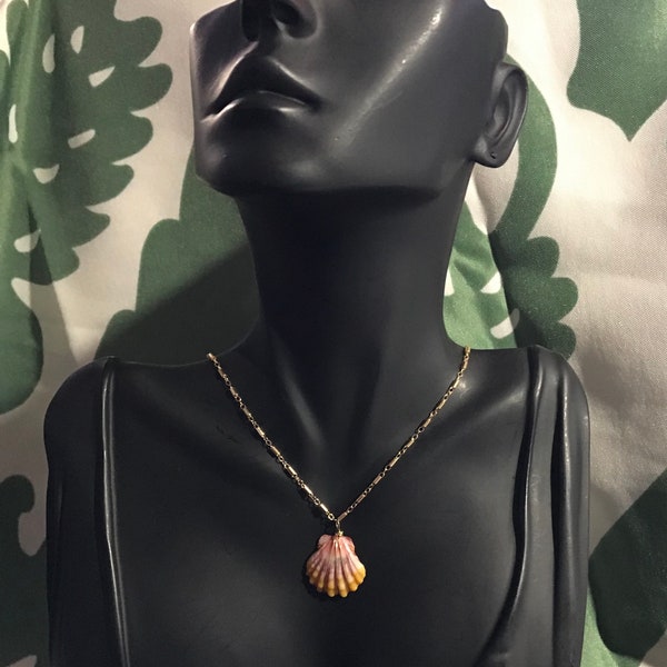 Sunrise Shell - Etsy