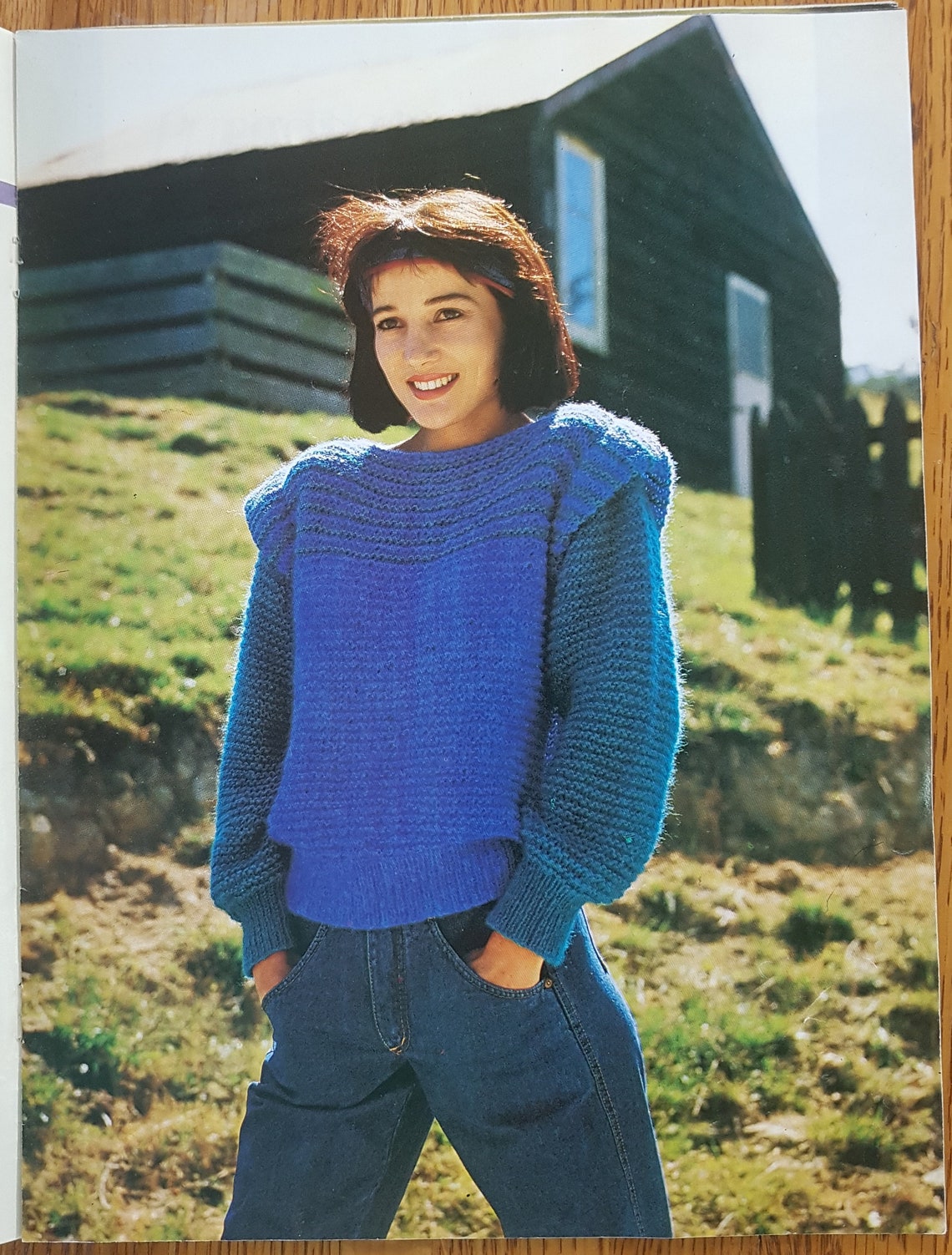 Thorobred Scheepjeswol Ladies Sweaters Knitting Pattern - Etsy