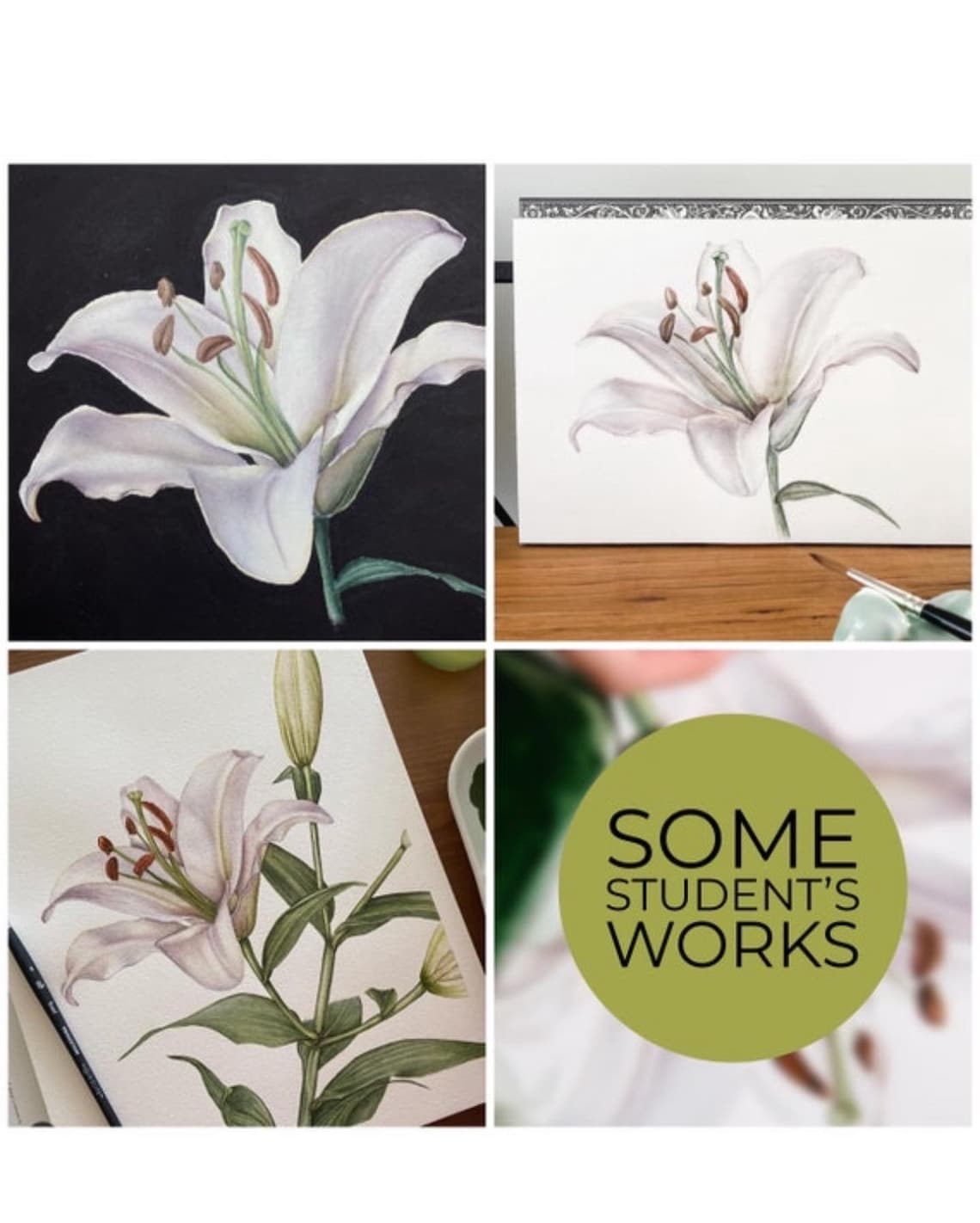 How to Paint Lily, Easy Watercolor Tutorial, Step by Step Flower Video ...